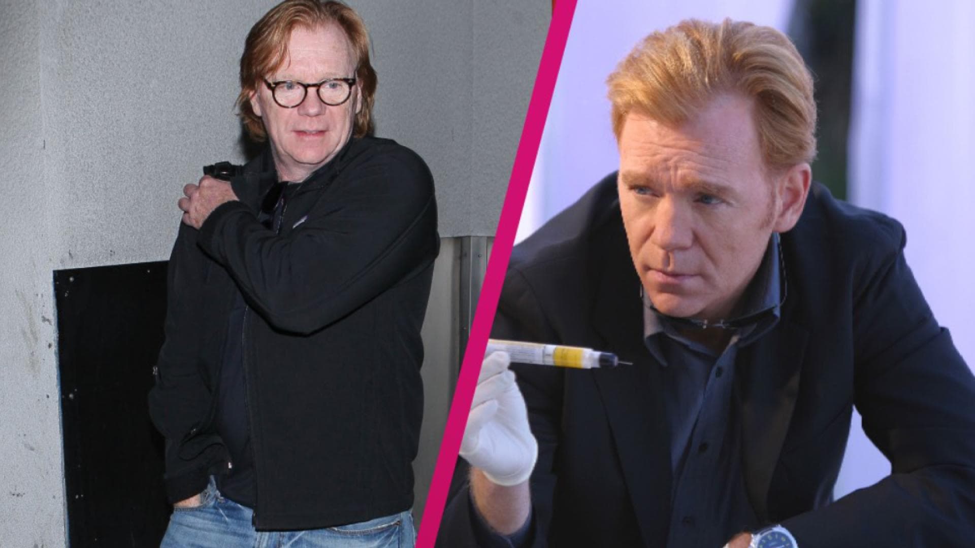 "CSI: Miami": Horatio Caine & Co. - So sehen die Stars heute aus | OK ...