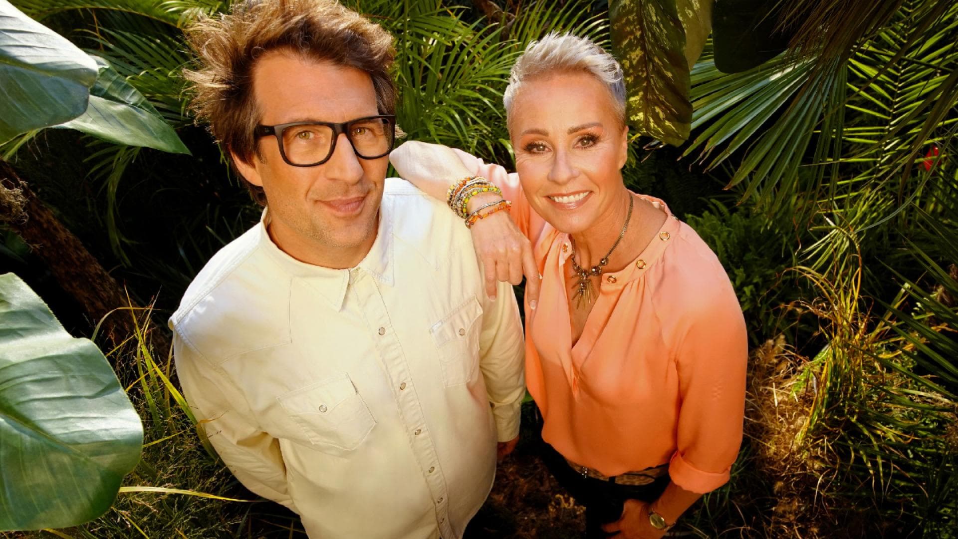 Daniel Hartwich: Was steckt wirklich hinter seinem Dschungelcamp-Aus?