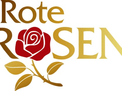"Rote Rosen": GNTM-Star übernimmt Hauptrolle!