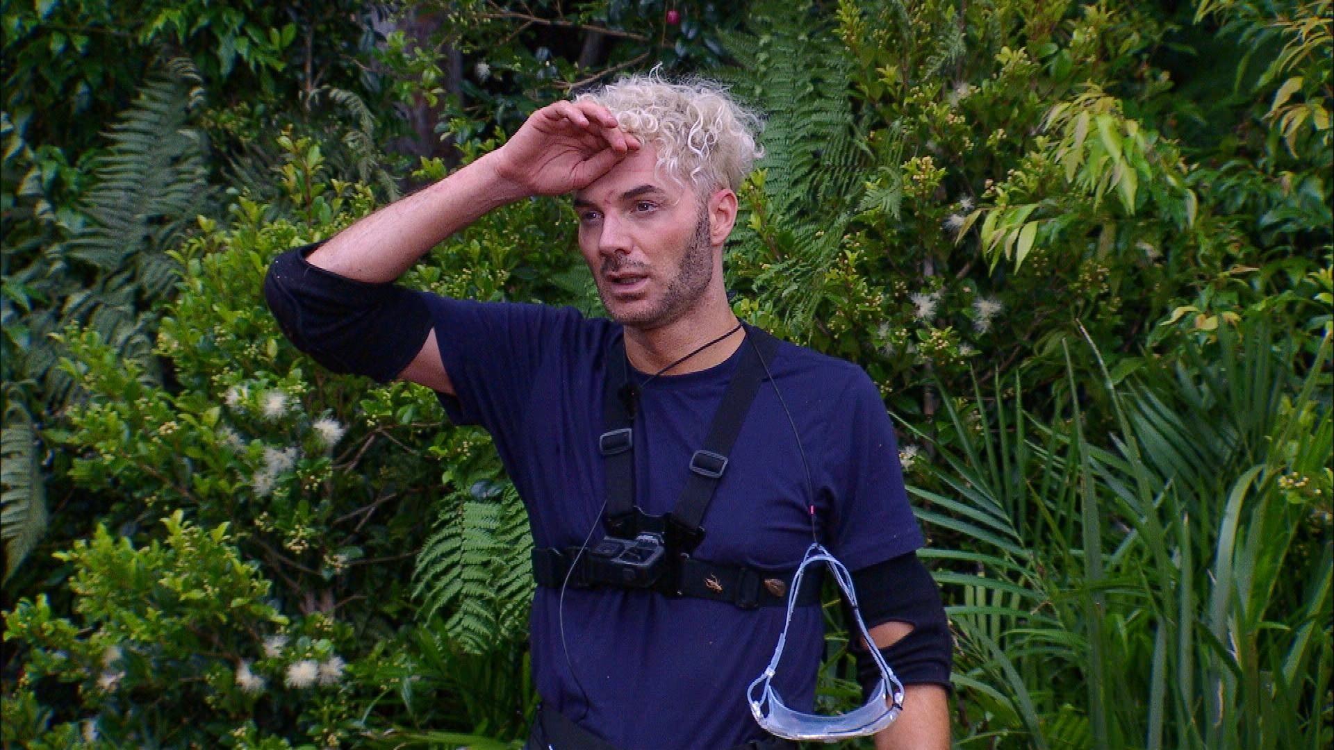 Dschungelcamp: Was schnitt RTL wirklich aus der Show? "Größte ...