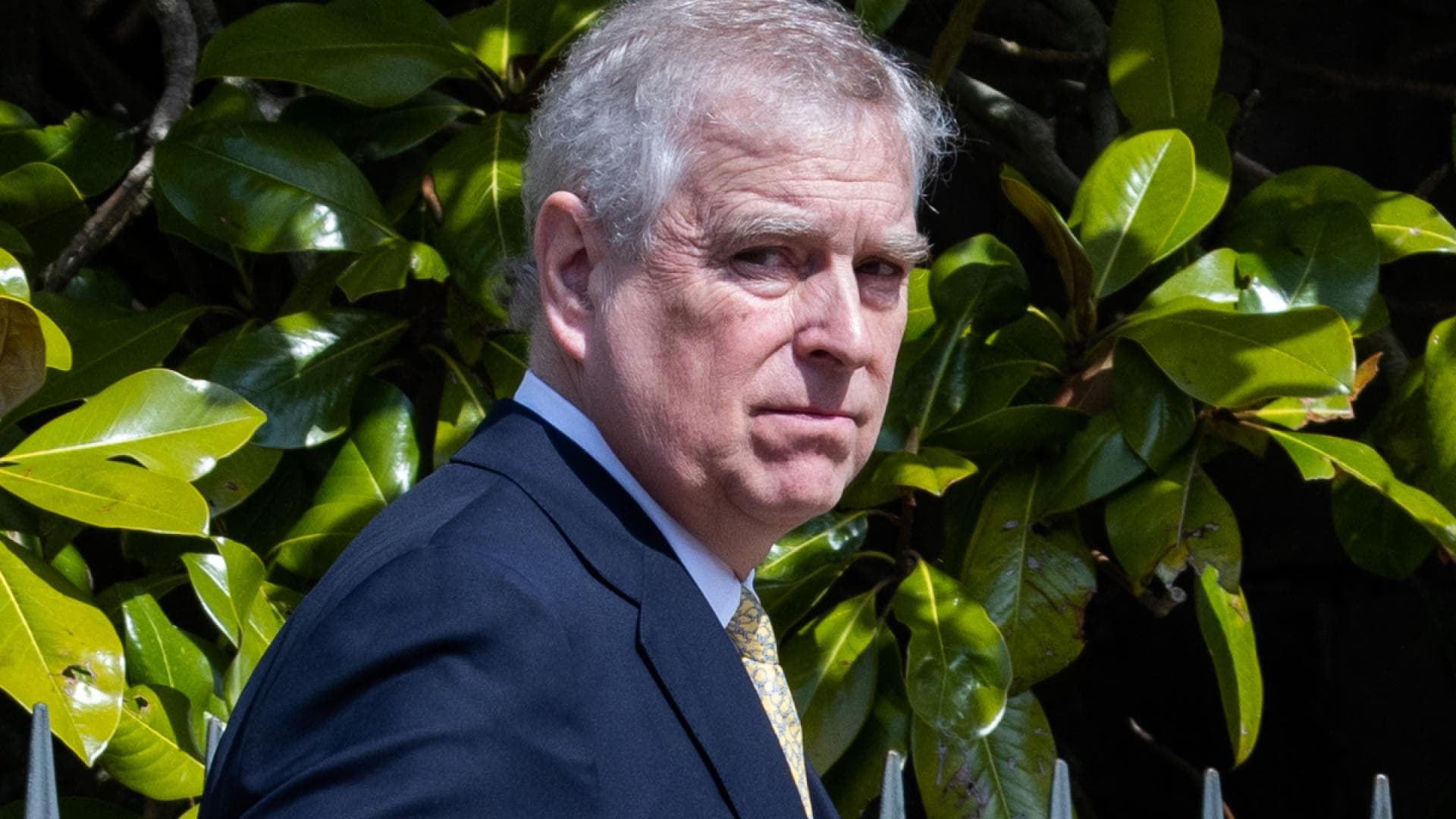 Prinz Andrew Nicht Nur Er Weiterer Royal In Sex Skandal Um Epstein