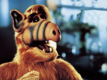 Alf: Das wurde aus den Schauspielern